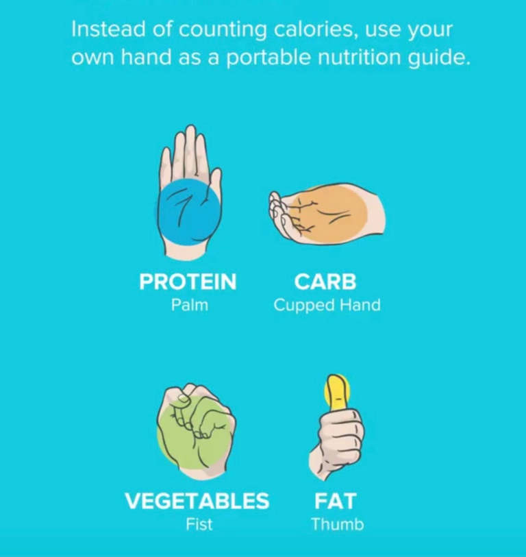 Building Your Macro-Balanced Plate - Stay Fit Mom