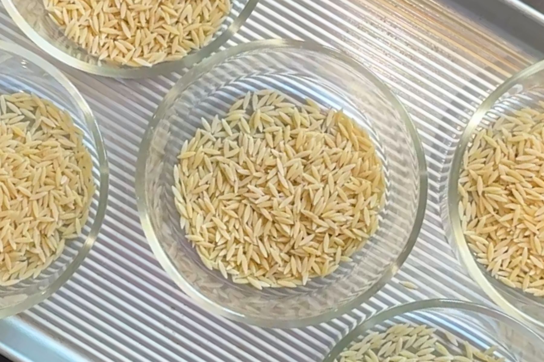 7 High Protein Orzo Recipes - Stay Fit Mom